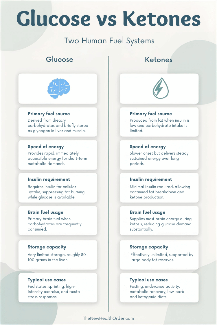 Refined vs Simple vs Complex Carbs: What Actually Matters?